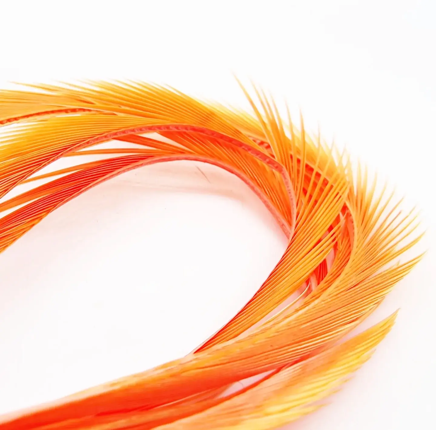 Goose Biots - 2 Tone Sunburst | Kindale Fly Fishing