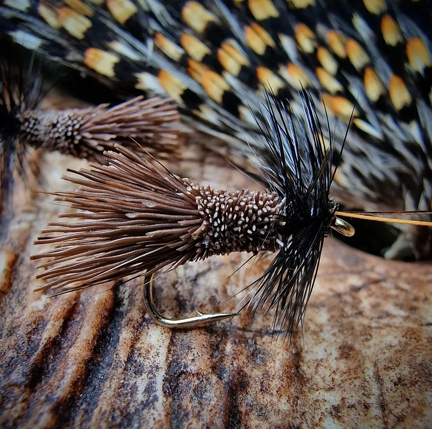 G and H Black Sedge | Kindale Fly Fishing