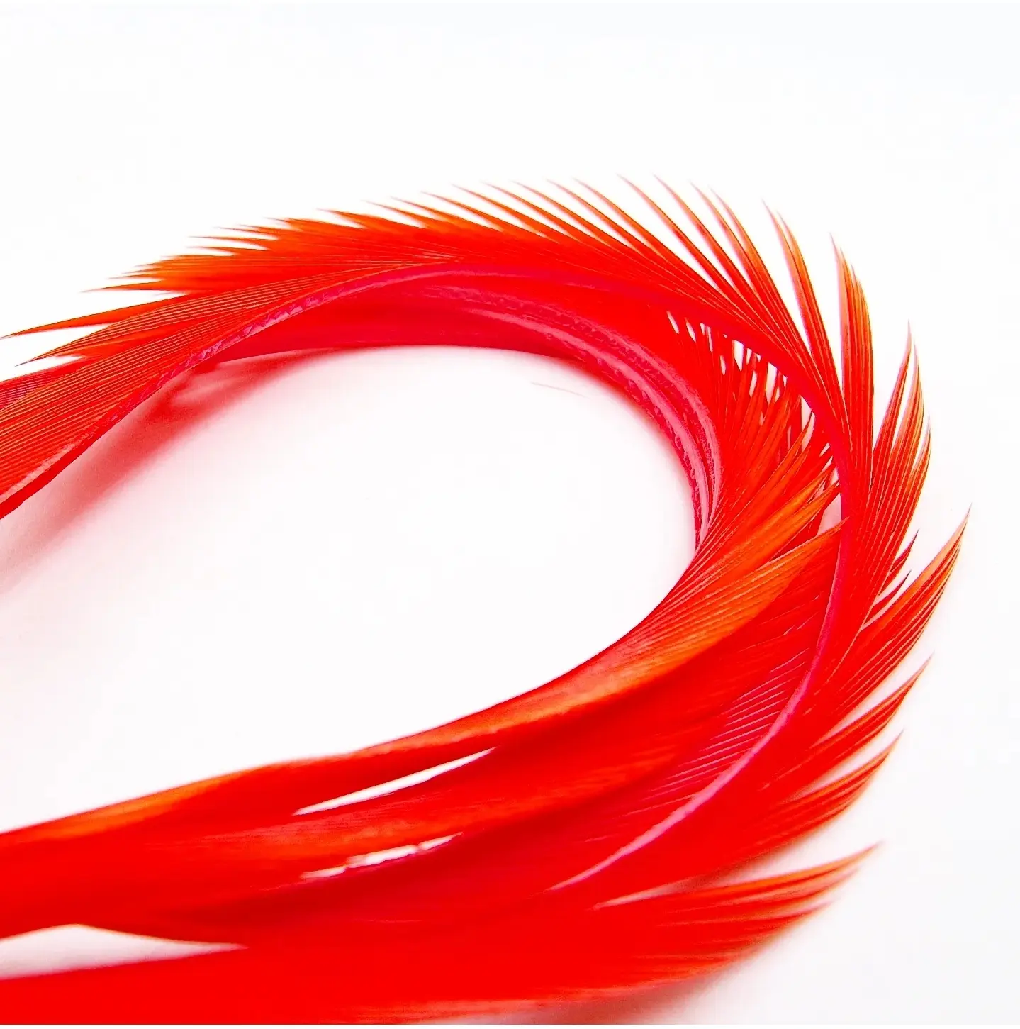 Goose Biots | Kindale Fly Fishing