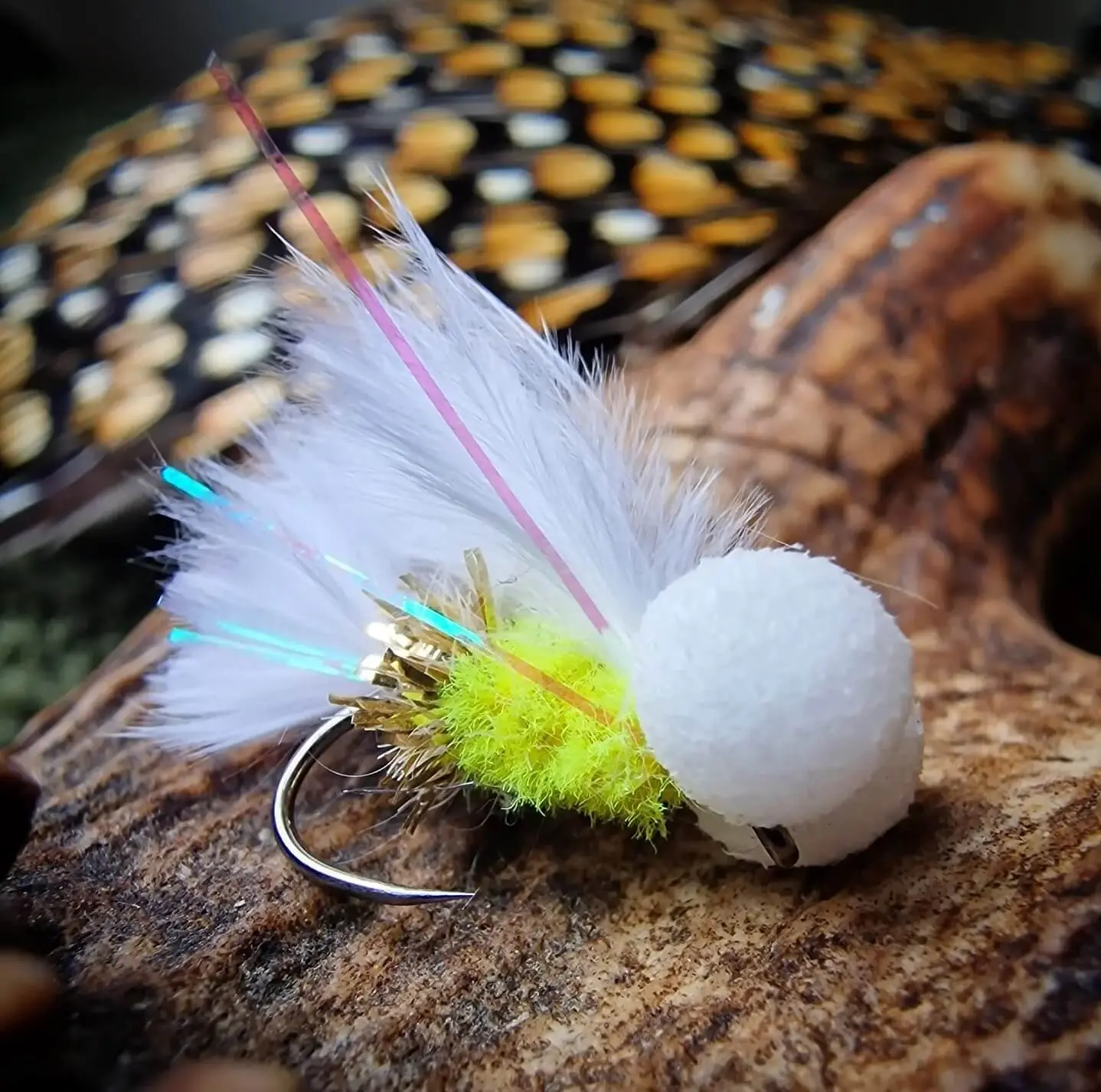Gold Arsed Cat Booby - #10 | Kindale Fly Fishing