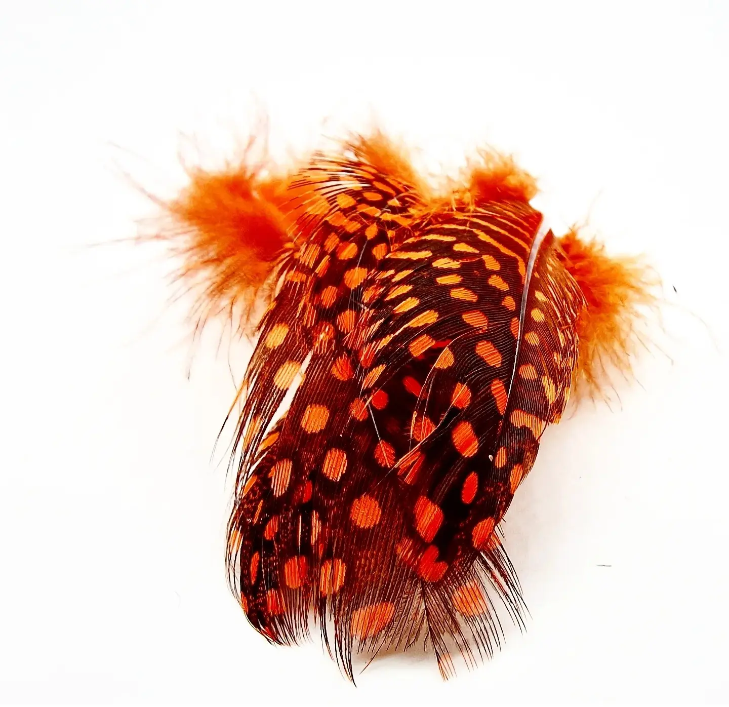 Guinea Fowl | Kindale Fly Fishing