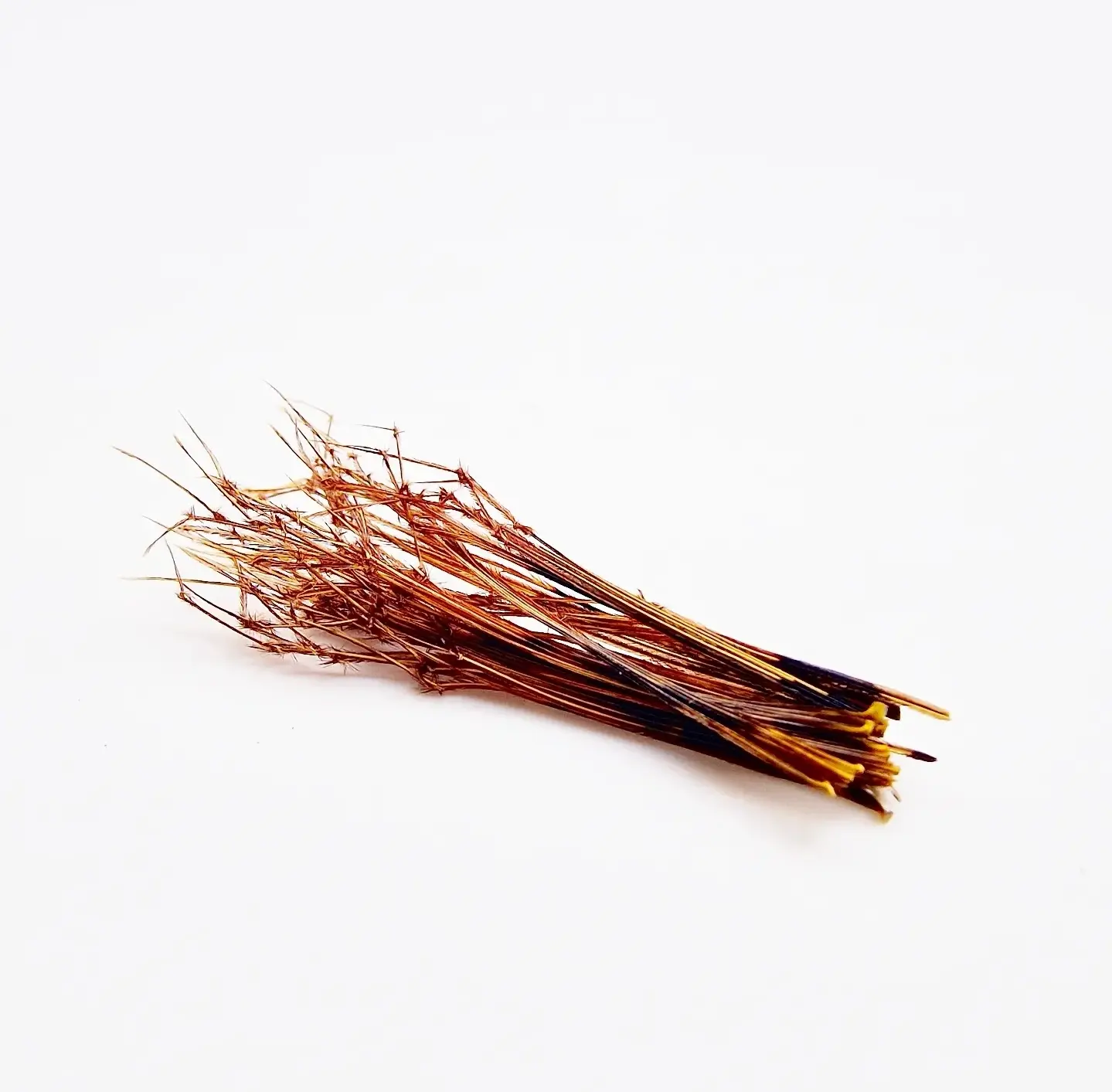 50 double Knotted Hopper Legs | Kindale Fly Fishing