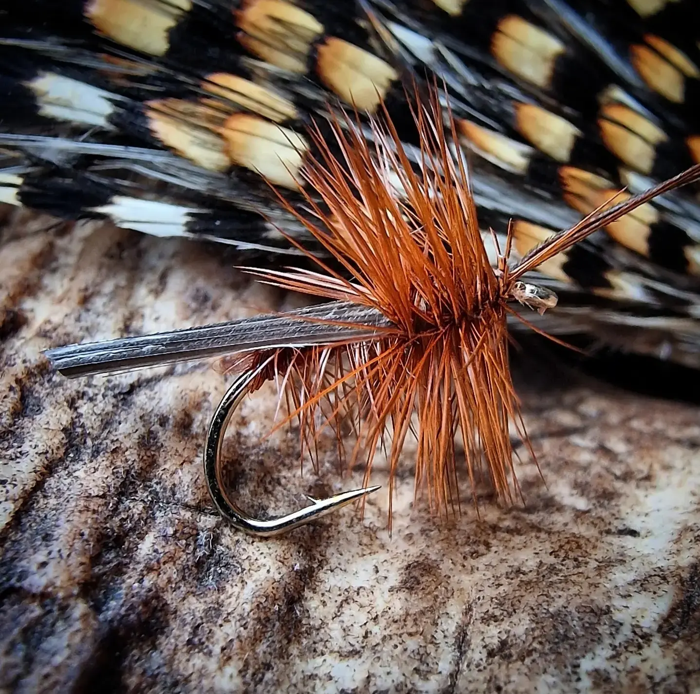 Murrough Sedge | Kindale Fly Fishing
