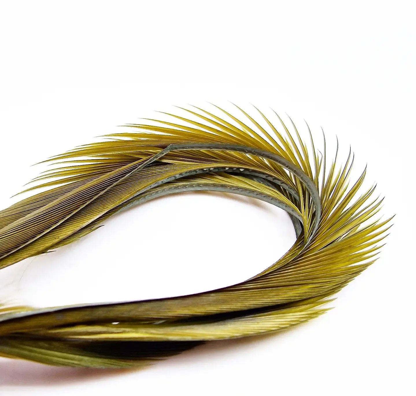 Goose Biots - Olive | Kindale Fly Fishing