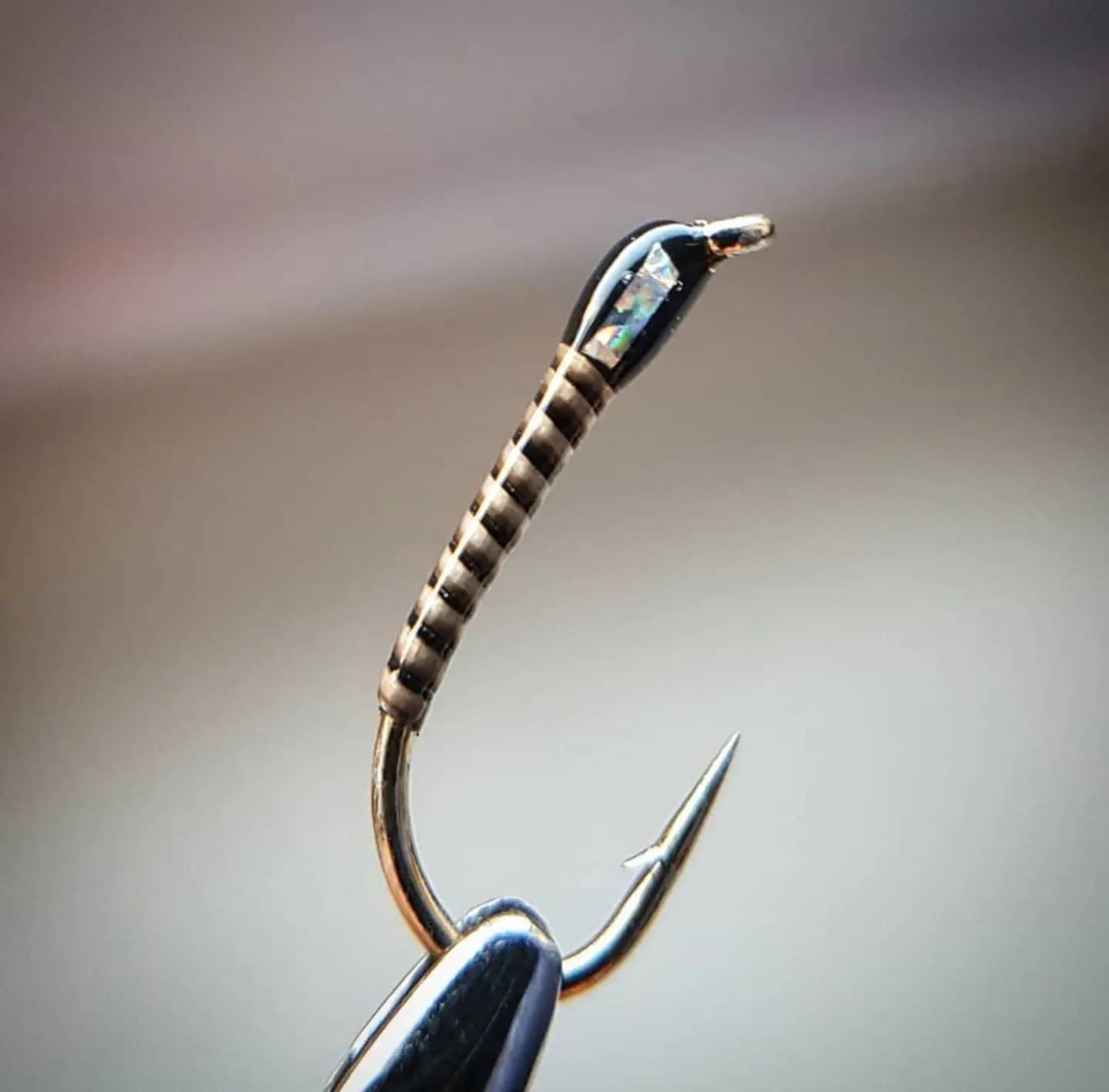 Quill Buzzer Silver Cheeks - #10 | Kindale Fly Fishing