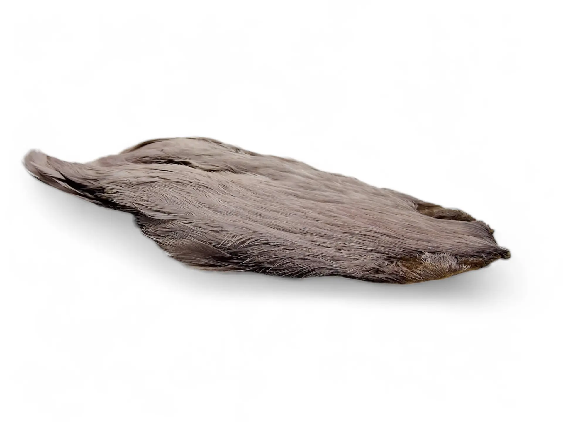 Turrall Hen Neck - Iron Blue Dun | Kindale Fly Fishing