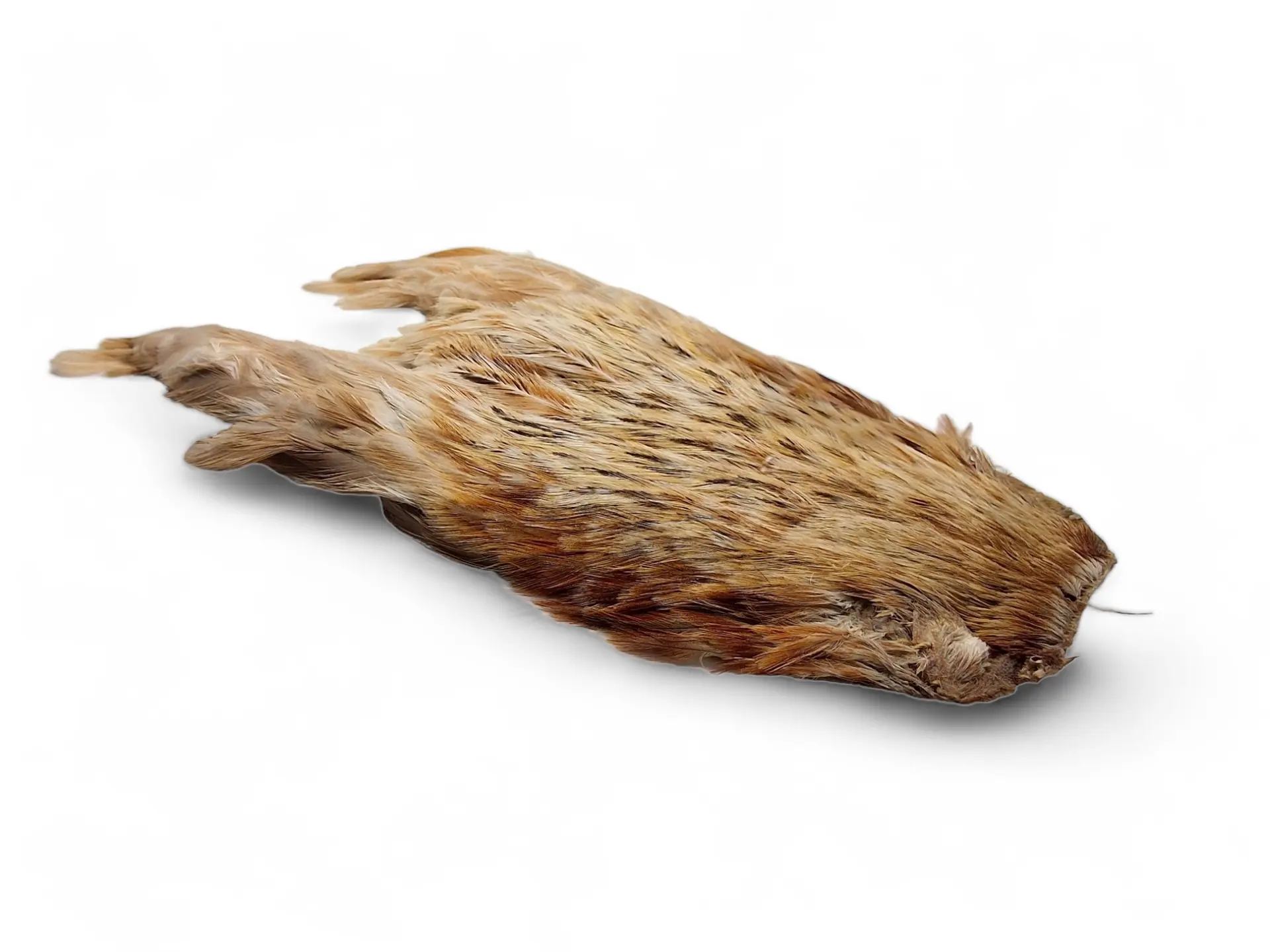 Turrall Hen Neck - Ginger | Kindale Fly Fishing