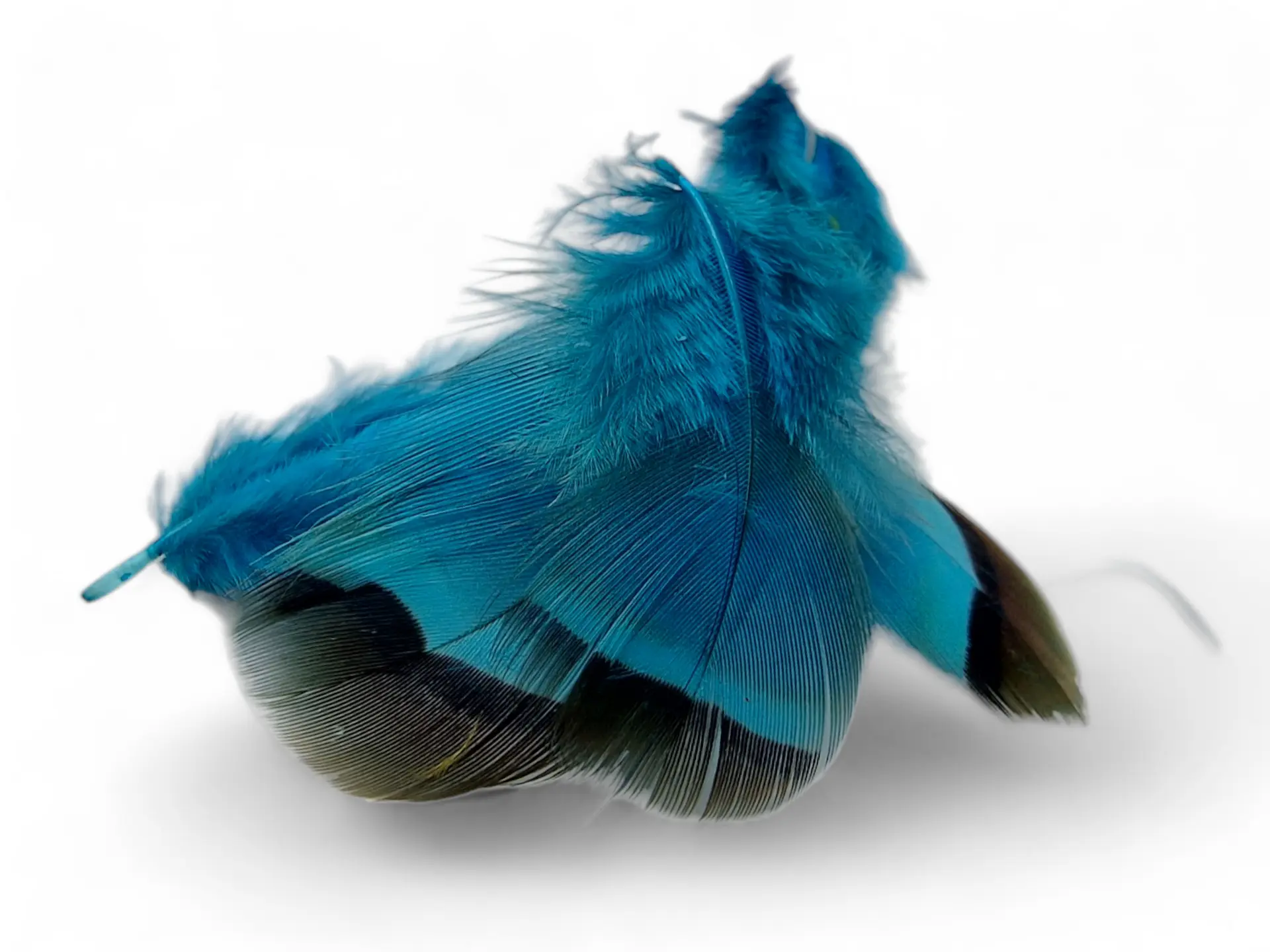 Veniard French Partridge - Blue | Kindale Fly Fishing