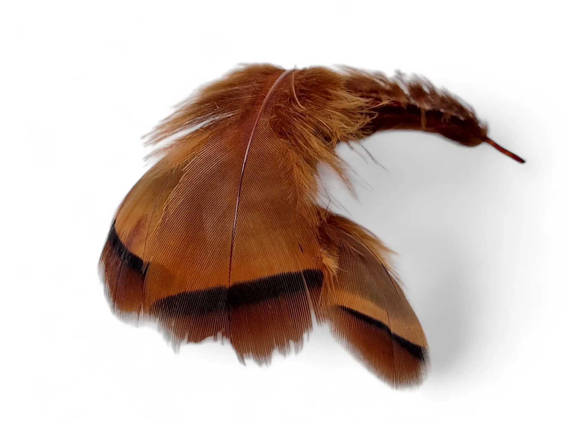 Veniard French Partridge - Brown | Kindale Fly Fishing