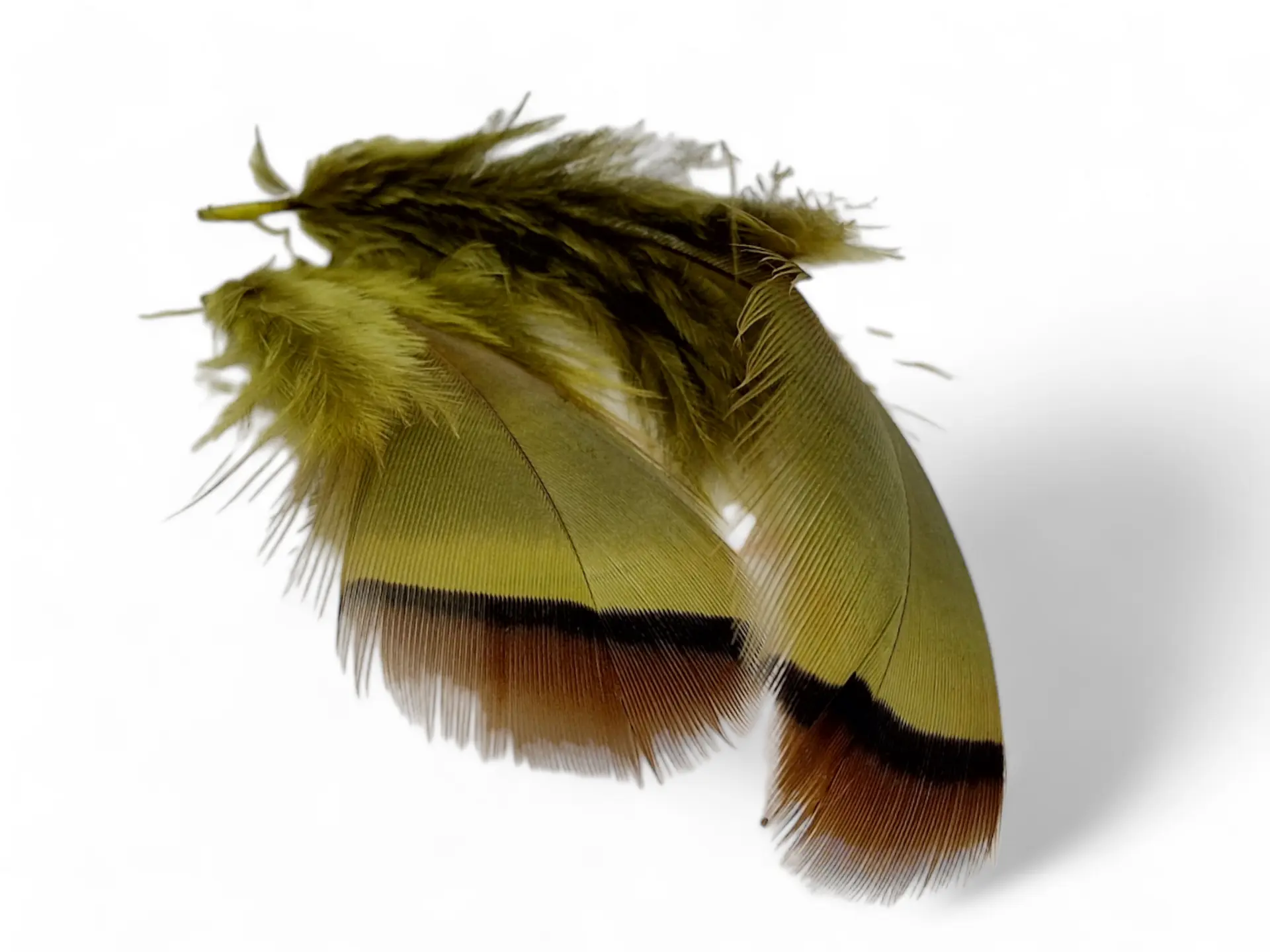 Veniard French Partridge - Olive | Kindale Fly Fishing