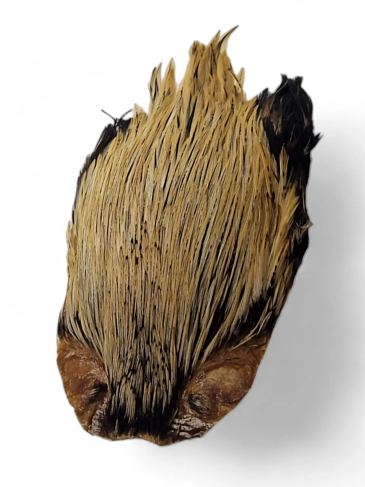 Veniard Indian Cock Capes | Kindale Fly Fishing