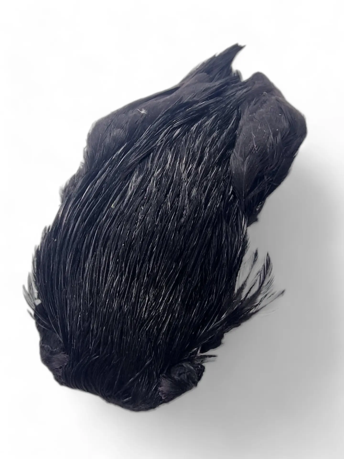 Veniard Indian Cock Capes - White | Kindale Fly Fishing