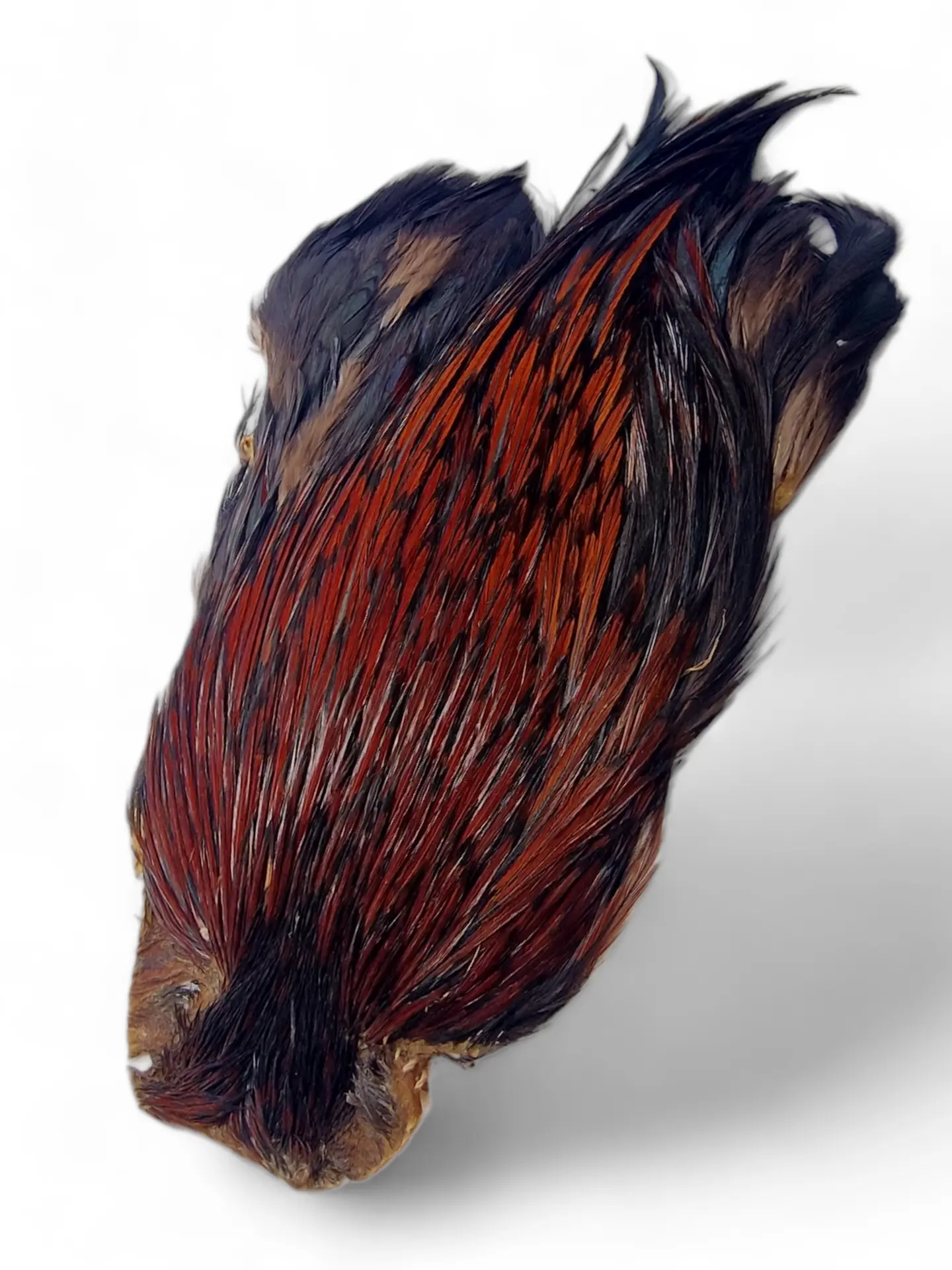 Veniard Indian Cock Capes | Kindale Fly Fishing