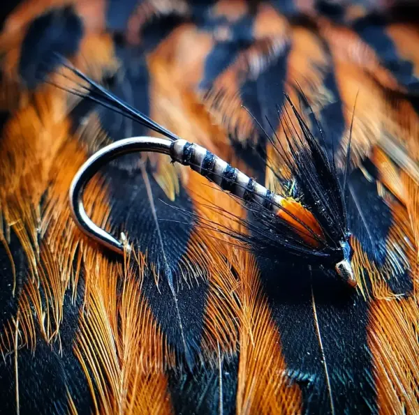 Black Quill Cruncher Orange Cheeks | Kindale Fly Fishing